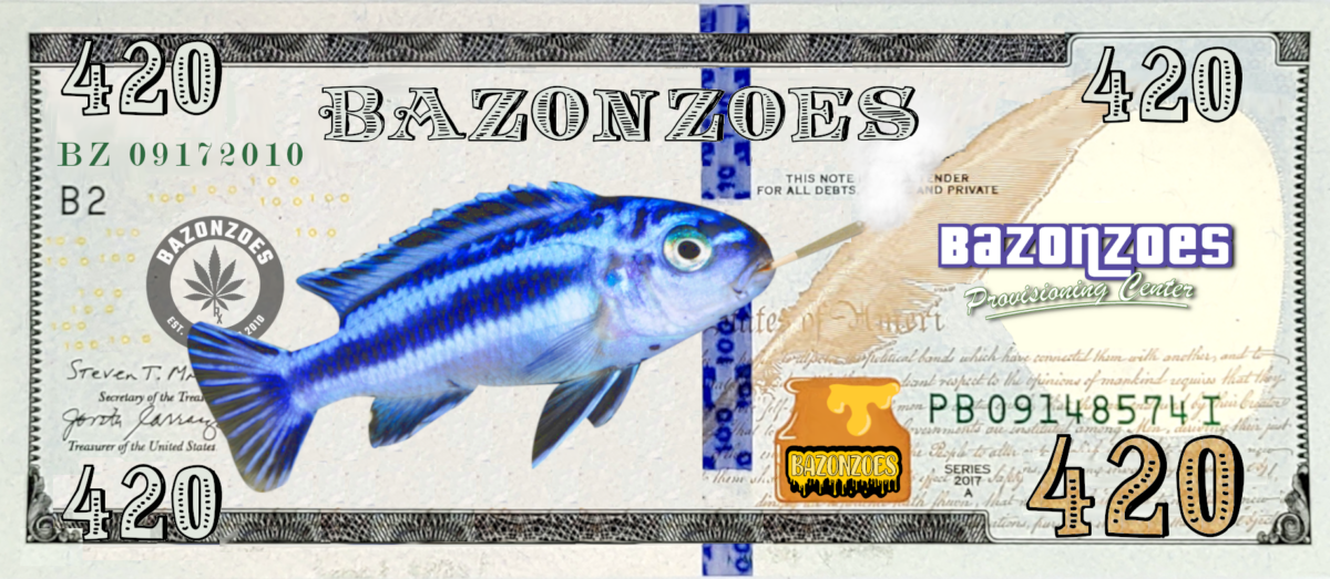 The Bud Club- Loyalty Points & Text — Bazonzoes